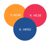 Superior Reactive Dyes for Vibrant Colors | Jagson