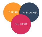 Superior Reactive Dyes for Vibrant Colors | Jagson